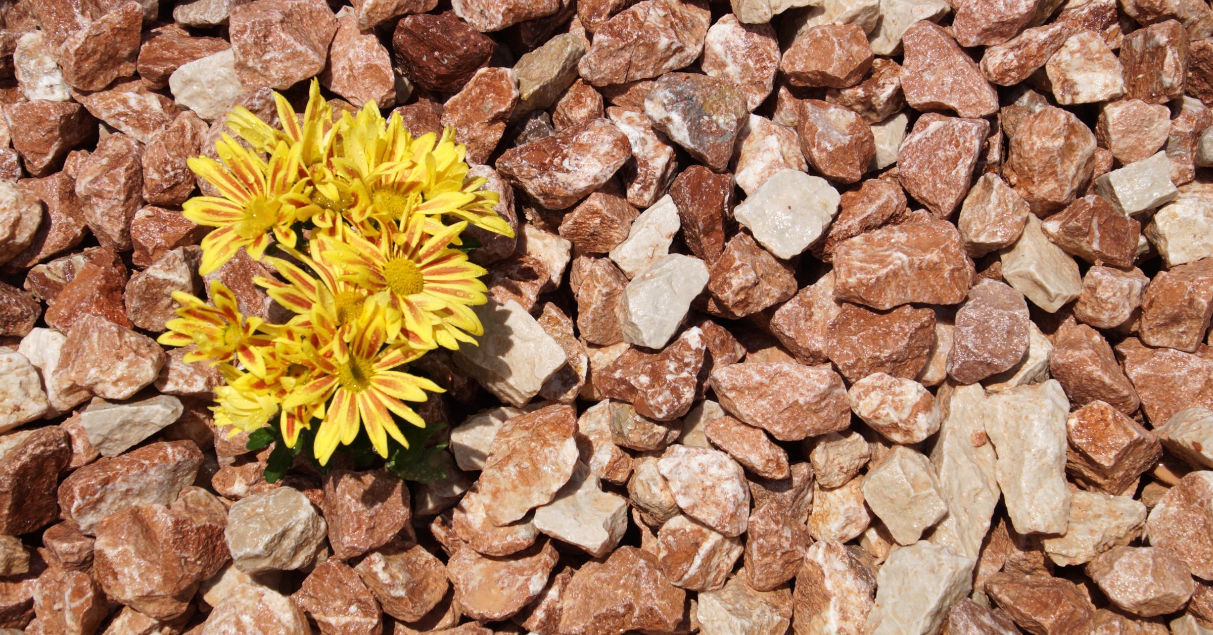 (Fasten-) Zeit mal anders